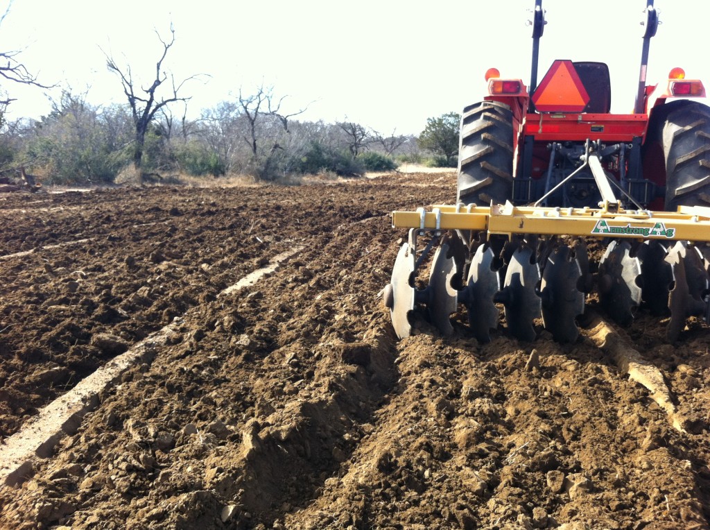 Native Grass & Wildflower Reseeding Landmark Wildlife Management